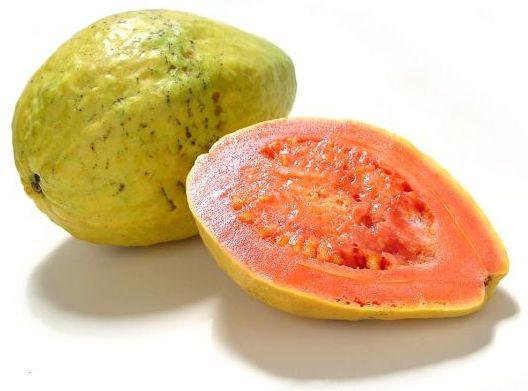 Guayaba - WikicharliE