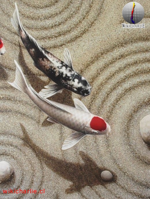 Koi - WikicharliE