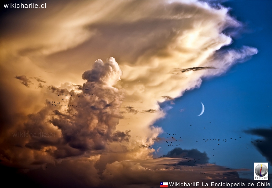 Cúmulus - WikicharliE