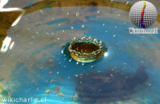 Dropletón - WikicharliE