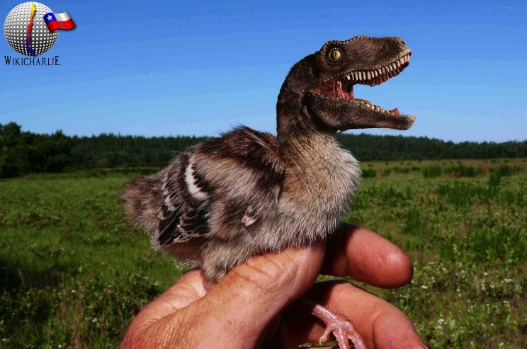 Chickenosaurus - WikicharliE
