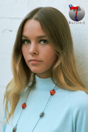 The Mamas & the Papas - WikicharliE